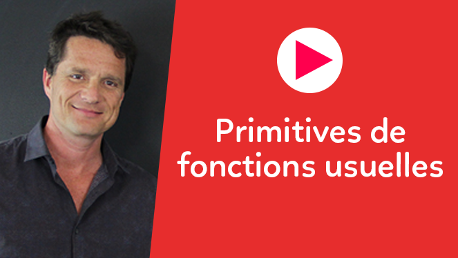 Primitives de fonctions ln, exponentielles. Décompositions ... Primitives de fonctions ln, exponentielles. Décompositions ...